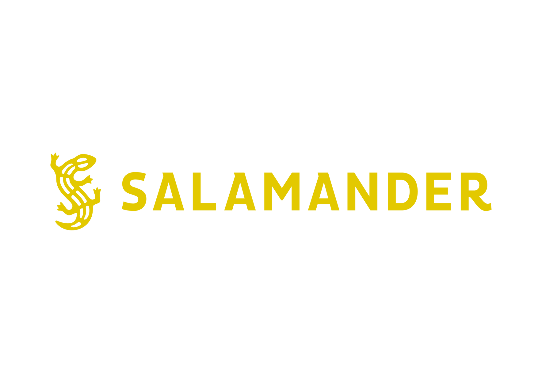 Salamander Schuhe Online-Shop: Entdecke den Neuen Start!